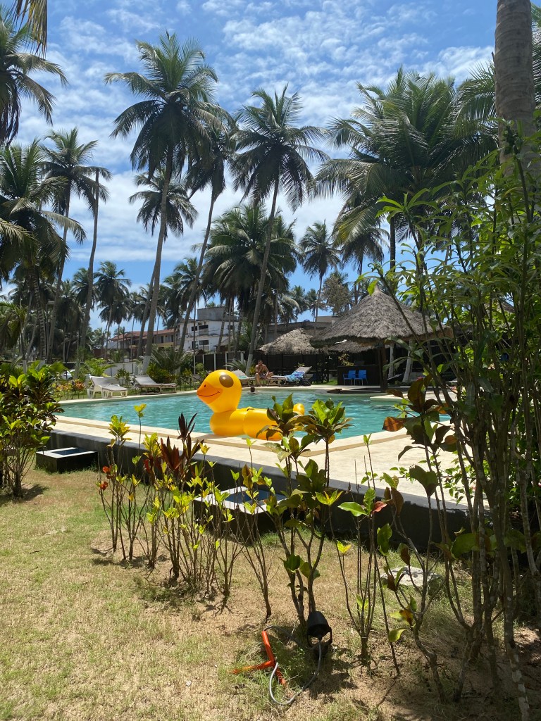 Aura Assinie – La Vraie Adresse